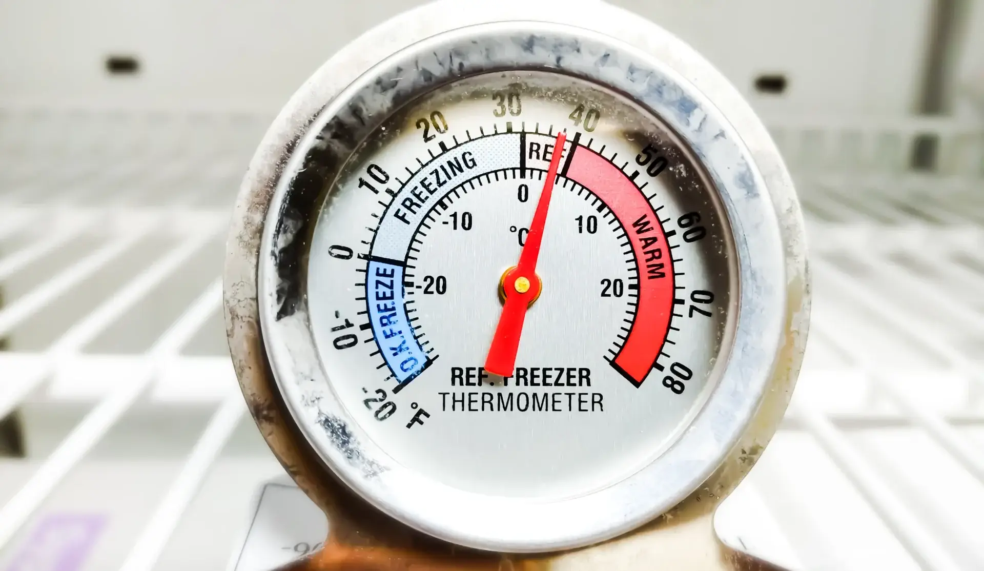 Do you need a thermometer in your commercial fridge? | Fridgesmart